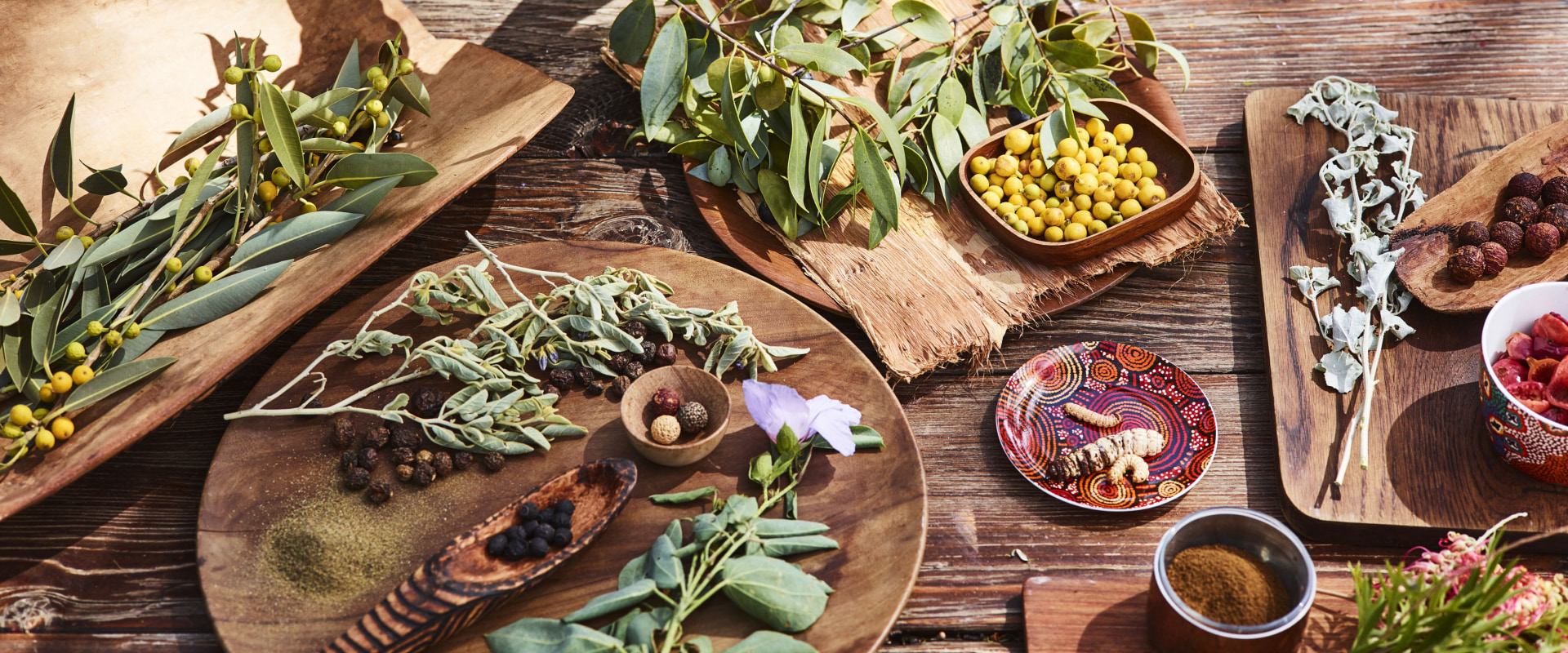 Discovering Traditional Indigenous Ingredients in Australia